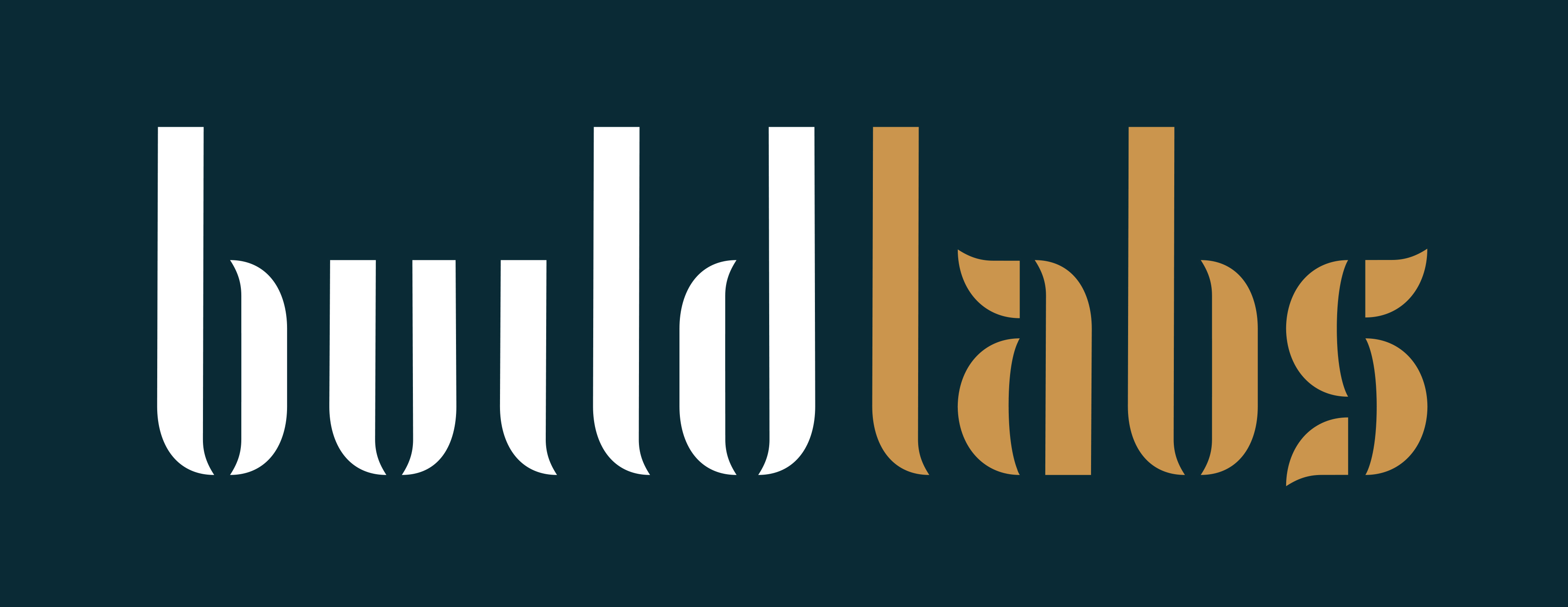 BuildLabs_Type_WhiteGoldonBlue.jpg